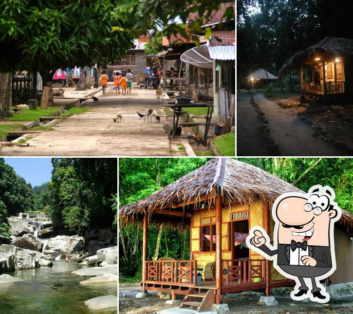 Restaurante RIMBA Ecolodge & RIMBA Non-Profit Organisation, Padang ...