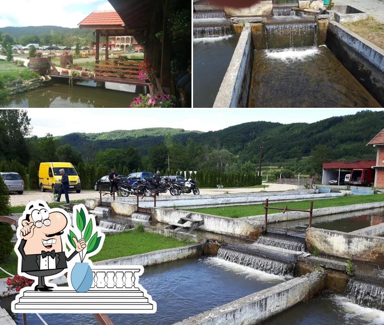 RESTORAN JEZERO SVETI NIKOLA, Ples - Restaurant menu, prices and reviews