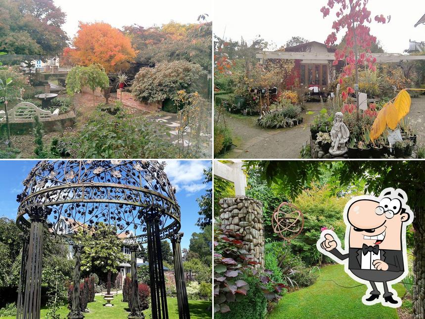 Mia Flora Cafe & Garden Centre (Kavanagh House) in Winchester ...