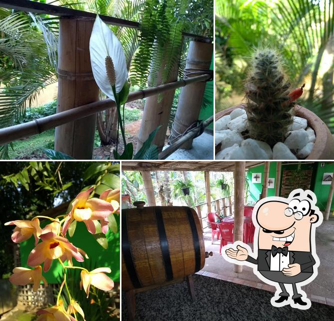 Bar Pedro Alvim, Brazil - Restaurant reviews