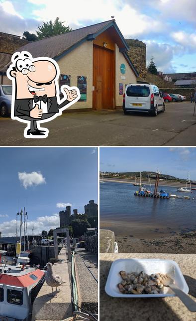 Conwy Mussels Company, Conwy - Restaurant menu, prices and reviews