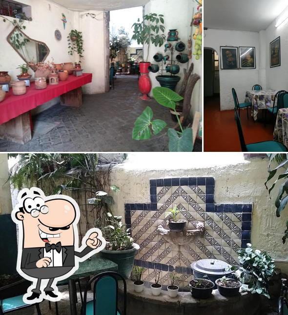 Los Cactus restaurant, Mexico City, 2 de Abril 20A - Restaurant reviews