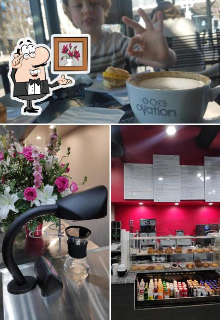 Ovation Coffee & Tea, 3730 S Bond Ave in Portland - Restaurant reviews