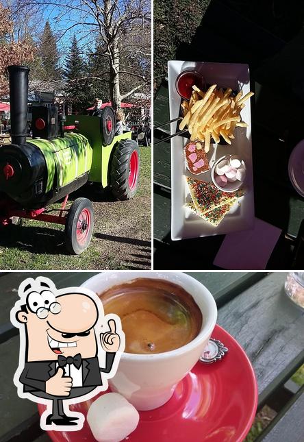 Antler Cafe, Christchurch - Restaurant menu, prices and reviews
