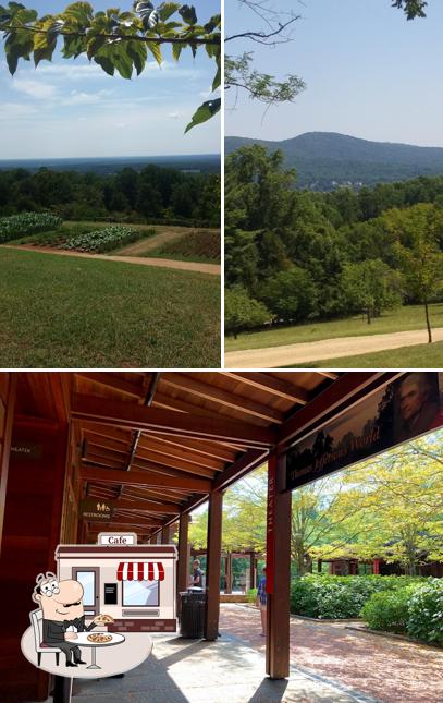 Monticello Café, 1050 Monticello Loop in Charlottesville - Restaurant ...