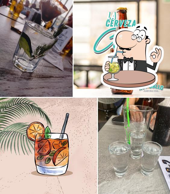 Restaurante El Rey Gallo, Guadalajara - Opiniones del restaurante