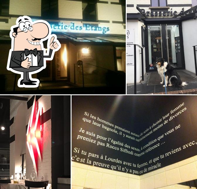Brasserie des Étangs Mellaerts, Woluwe-Saint-Pierre - Critiques de ...