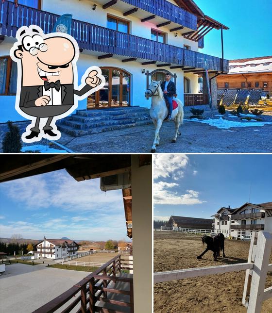 Complex Turistic Panicel, Rosenau - Restaurantbewertungen