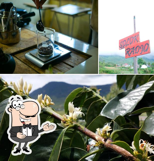 Solok Radjo, Indonesia - Restaurant reviews