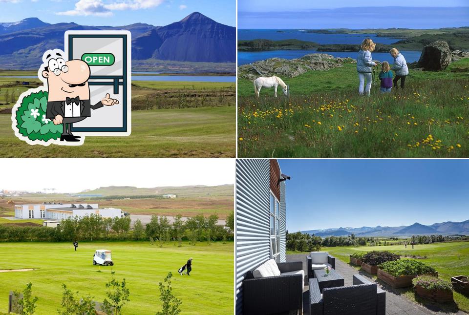 Hótel Hamar restaurant, Borgarnes - Restaurant reviews