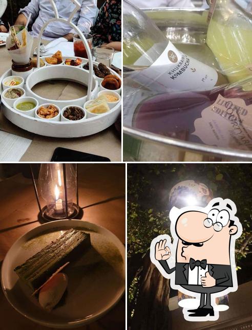 Olive Bar & Kitchen, New Delhi, Mile 6 - Restaurant menu and reviews