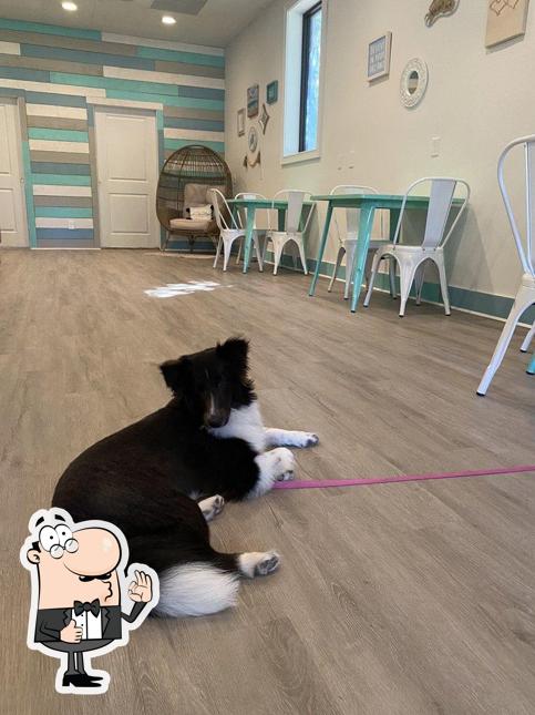 Island Nutrition in Hilton Head Island - Restaurant reviews