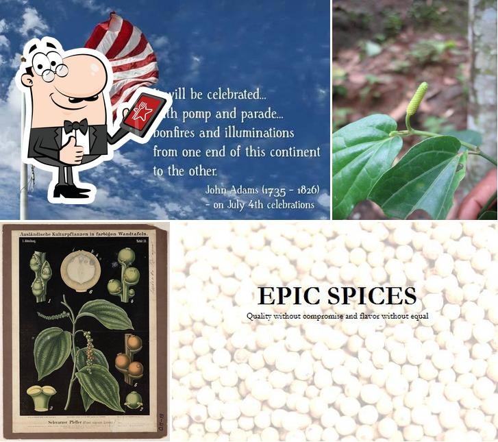 Epic Spices in Chicago