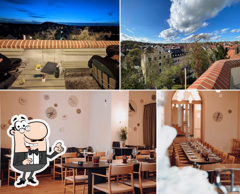 DIMU Restaurant, Freising - Speisekarte, Preise und Bewertungen