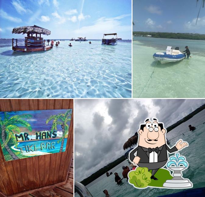 Mr. Hans Tiki Bar, San Luis - Restaurant reviews