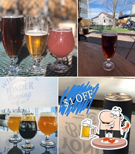 Wild Blue Yonder Brewing Co. in Castle Rock - Restaurant menu and reviews