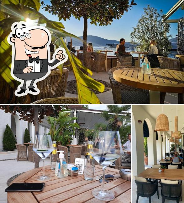 Forza Porto, Tivat - Restaurant menu, prices and reviews