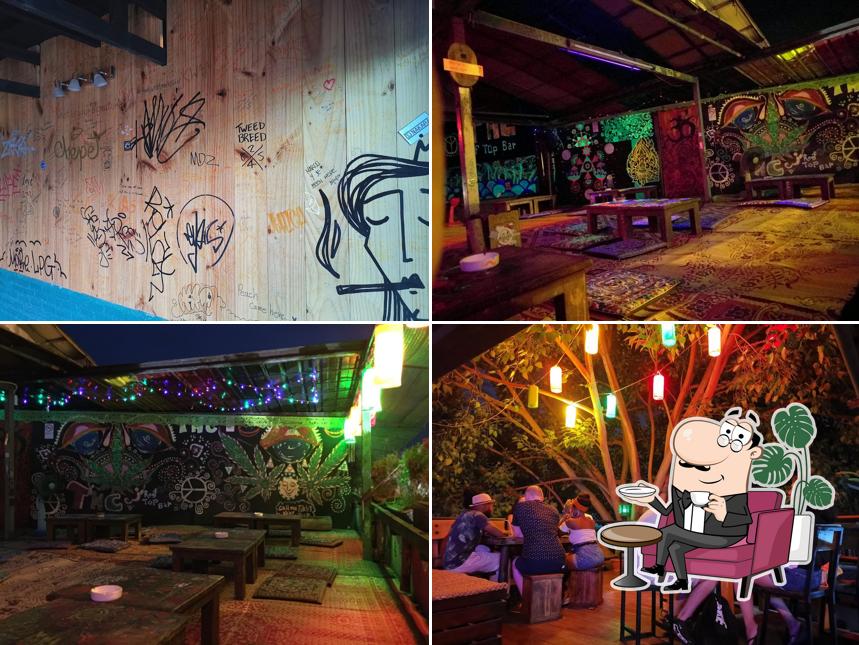 THC Rooftop bar, Chiang Mai - Restaurant menu, prices and reviews