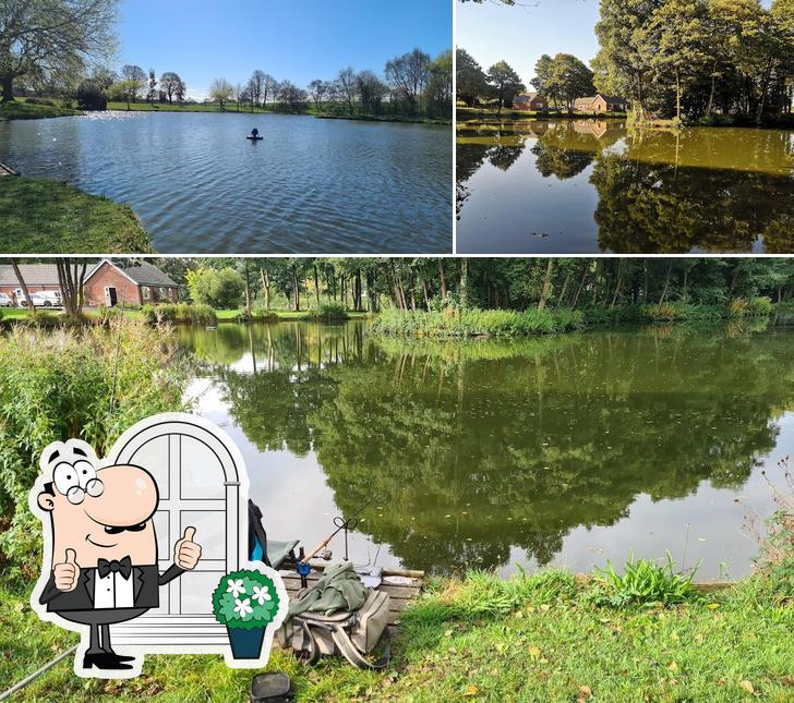 Club Bay Malton Border Fisheries, Crewe - Opiniones del restaurante