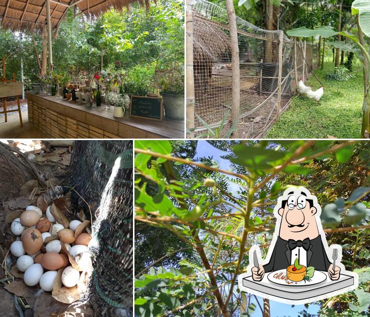 Mekin Farm มีกินฟาร์ม, Nong Ruea - Restaurant menu, prices and reviews