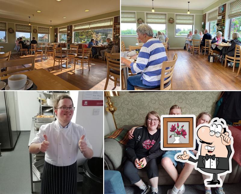 The Walled Garden Café - Derwen College Marketplace, Oswestry ...