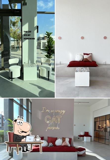 Cat Cafe Vibrissae - Mirdif 35, Dubai - Restaurant menu, prices and reviews