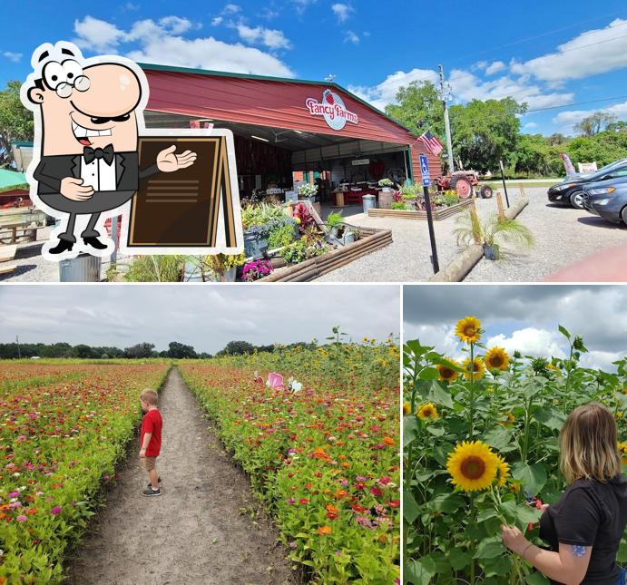 Fancy Farms Market, Lakeland - Restaurant menu, prices and reviews