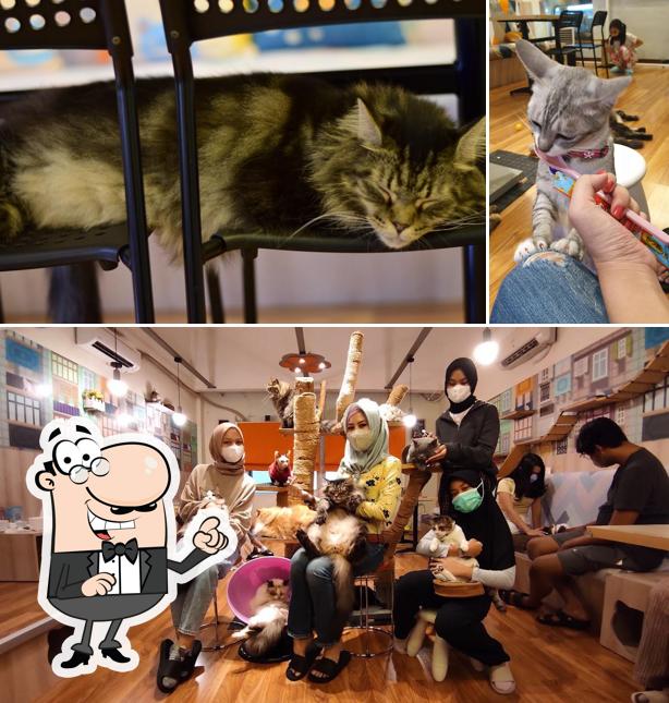 Kopicat Cafe by Groovy, Tangerang - Restaurant menu, prices and reviews