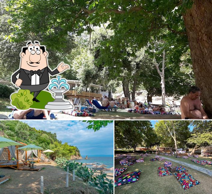 Rodia Beach Bar, Sithonia - Restaurant reviews