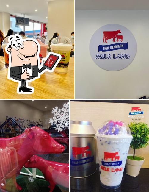 Thai-Denmark Milk Land หลังมหาวชิราวุธ สงขลา cafe, Songkhla ...