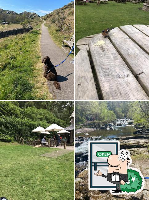 Watersmeet Tea Rooms in Lynmouth - Restaurant menu and reviews