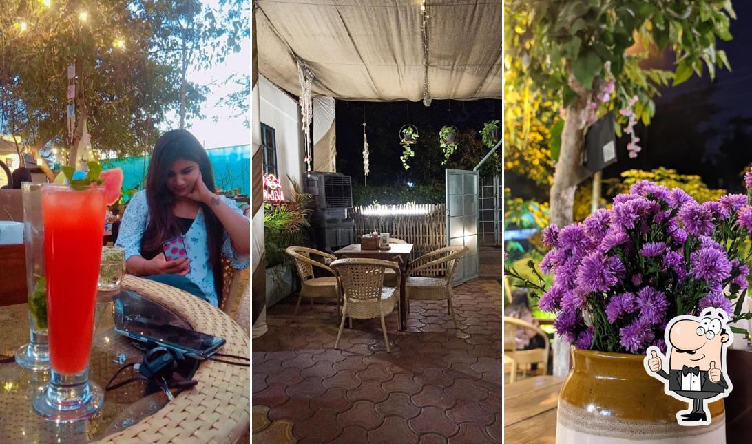 Casa Boho, Indore - Restaurant menu, prices and reviews