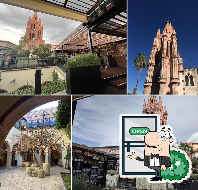 Atrio Restaurant, San Miguel de Allende - Restaurant reviews
