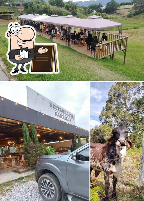 Típicos El Peñol S.A.S restaurant, El Peñol - Restaurant menu and reviews