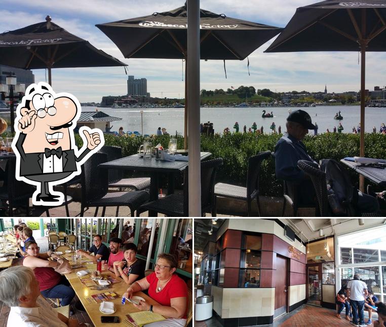 The Cheesecake Factory, Baltimore - Restaurant menu, prices and reviews