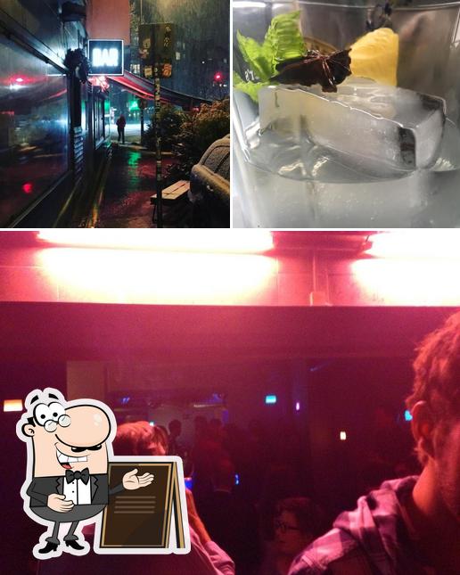 Barracuda Bar Koln