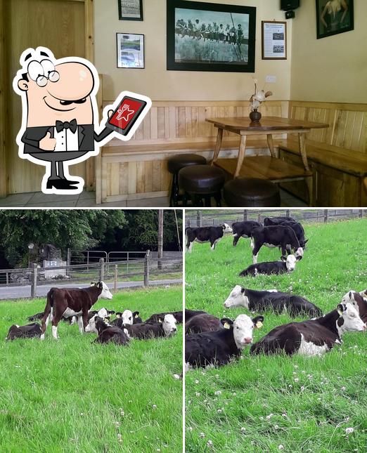 The Bell Inn - Restaurant menu, prices and reviews