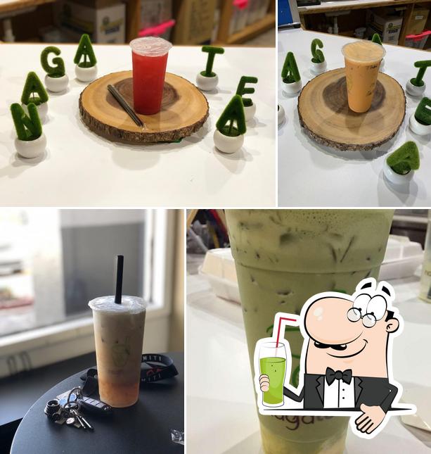 Naga Tea in Temple Terrace - Restaurant menu and reviews