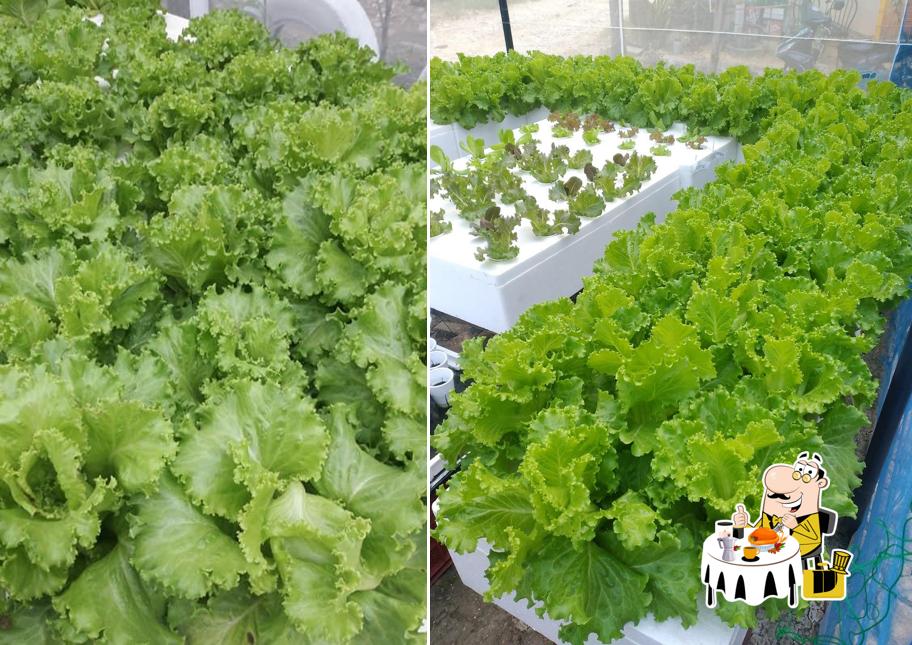 Lettuce EAT - Bacayan, Cebu City