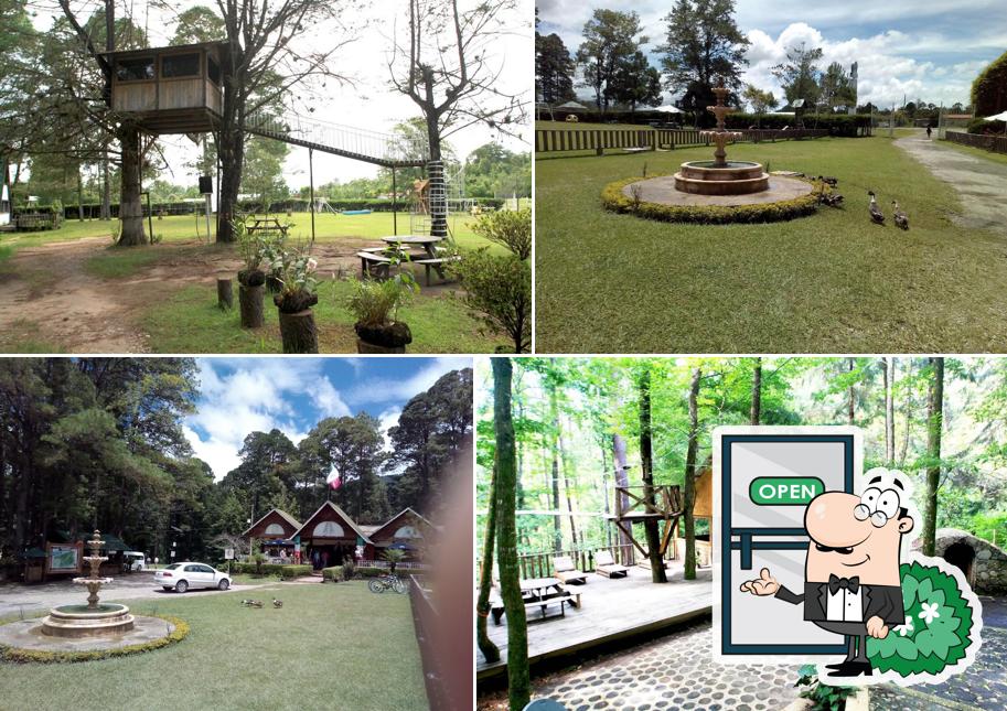 Pub y bar centro ecoturistico siempre verde, Jitotol - Opiniones del restaurante