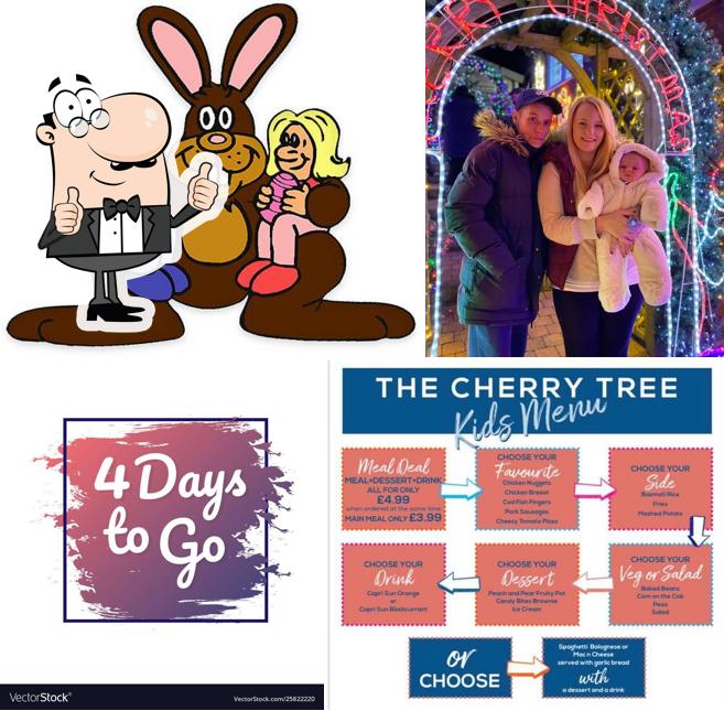 Cherry Tree in Soham - Restaurant menu and reviews