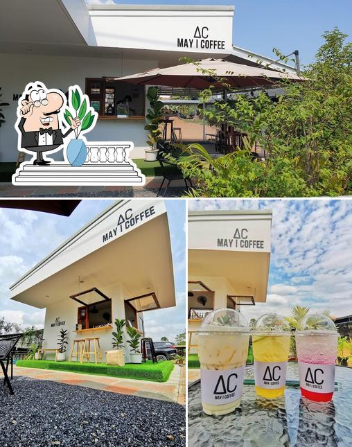 May I Coffee, Bangkok - Restaurant reviews