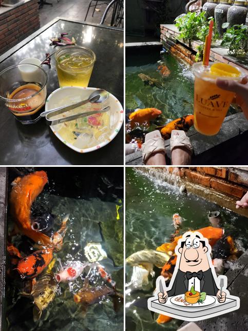 Cafe Lúa Về, Ho Chi Minh City, 15 Võ Thị Thừa - Restaurant reviews