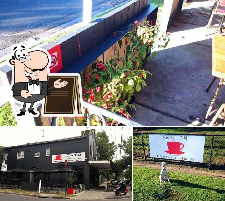 Red Cup Cafe in Box Hill - Restaurant menu and reviews