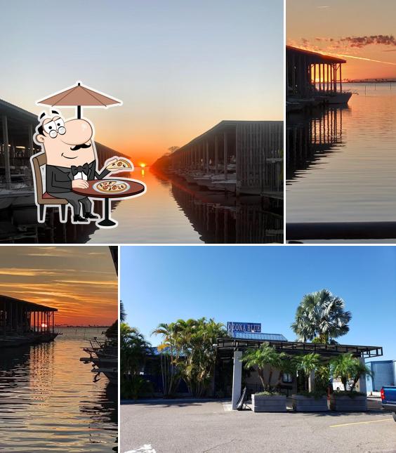 Ozona Blue Grilling Co, Palm Harbor - Restaurant menu, prices and reviews
