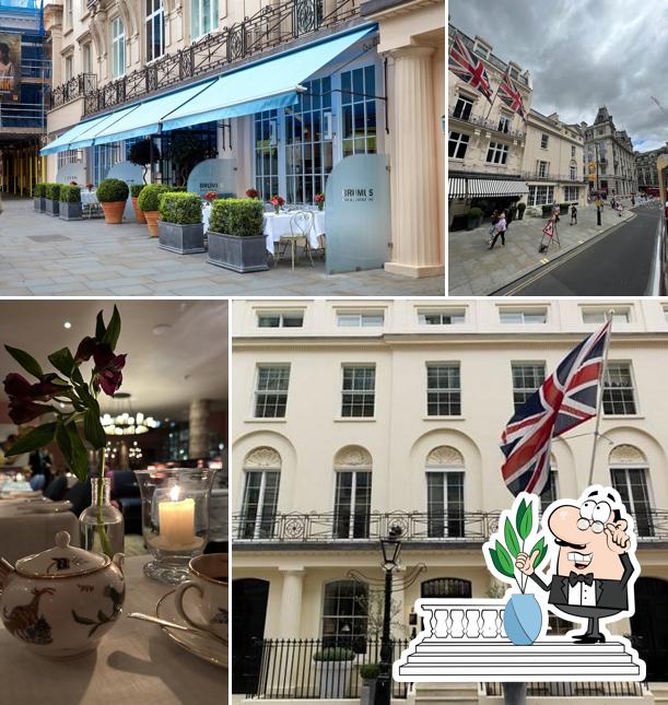 Brumus Restaurant & Bar, London - Restaurant menu, prices and reviews