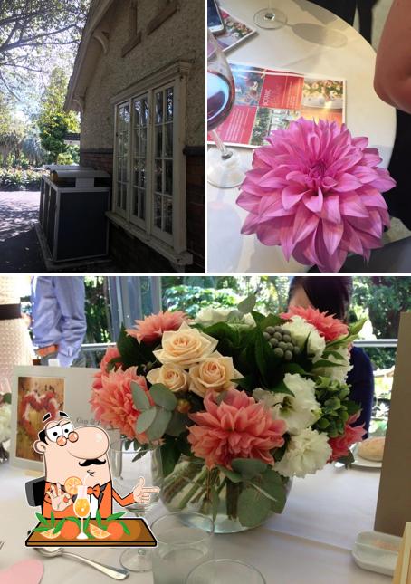 Botanic House, Mrs Macquaries Road in Sydney - Restaurant menu and reviews
