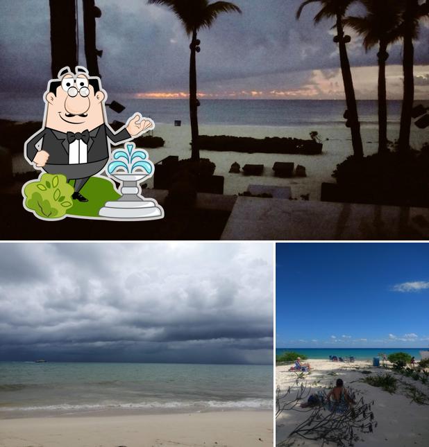 Parador Santino Bar Playa Del Carmen Restaurant Reviews
