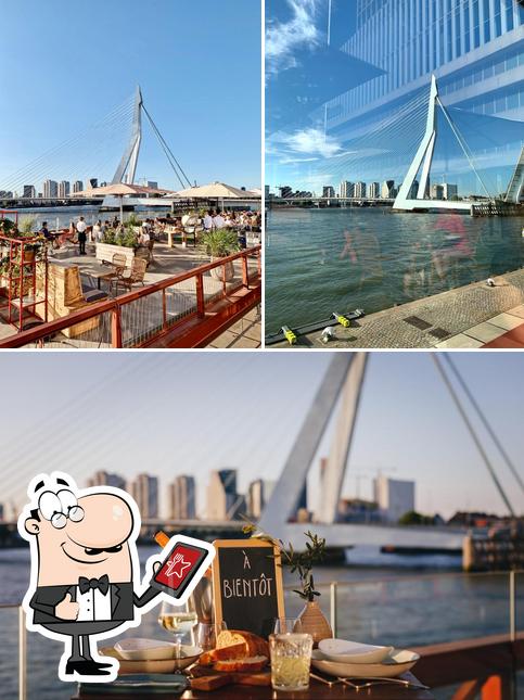 Dudok Aan De Maas, Rotterdam - Restaurant reviews