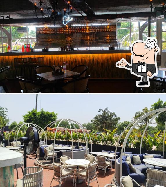 Elio, Noida - Restaurant reviews